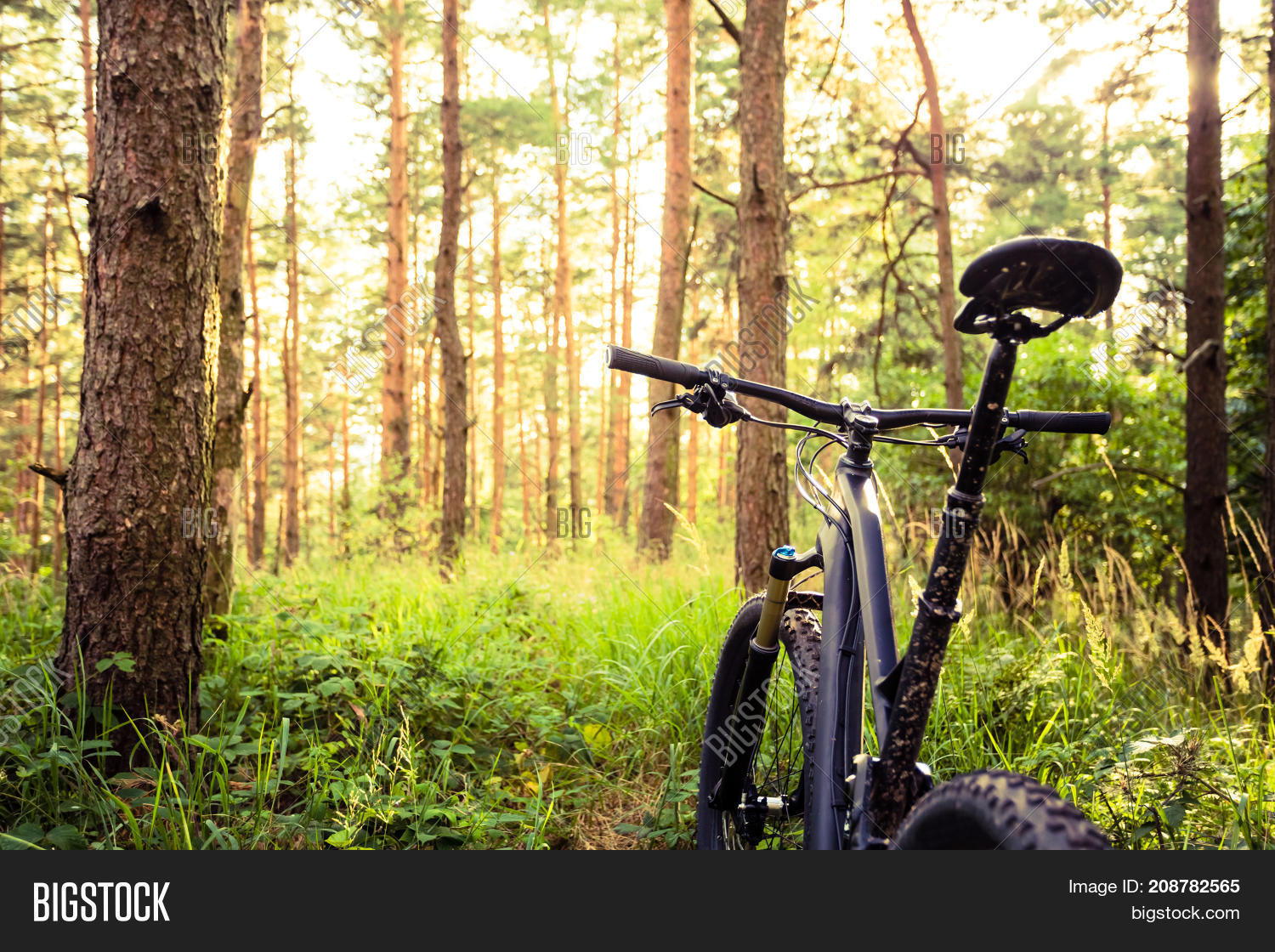 Mountain Bike MTB On Image & Photo (Free Trial) | Bigstock
