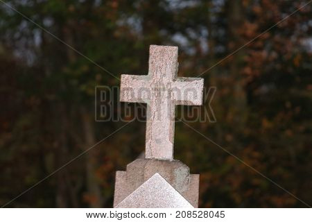 Dew Runs Down Tilted Image & Photo (Free Trial) | Bigstock