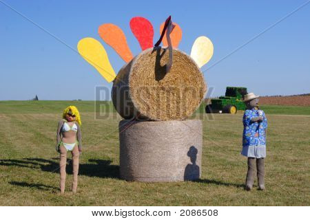 Hay Bale Turkey Image & Photo (Free Trial) | Bigstock