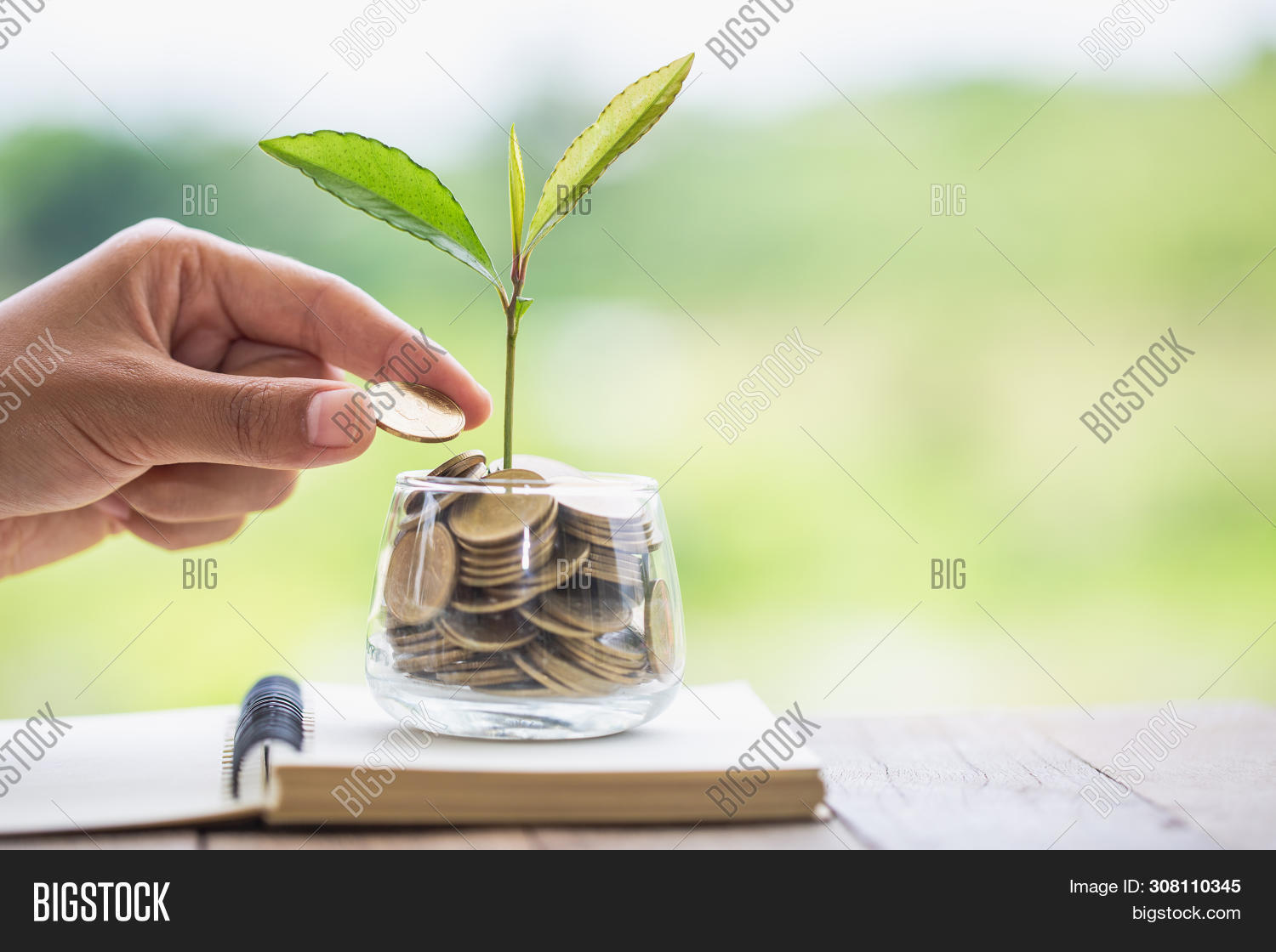 Hand Giving Coin Tree Image & Photo (Free Trial) | Bigstock
