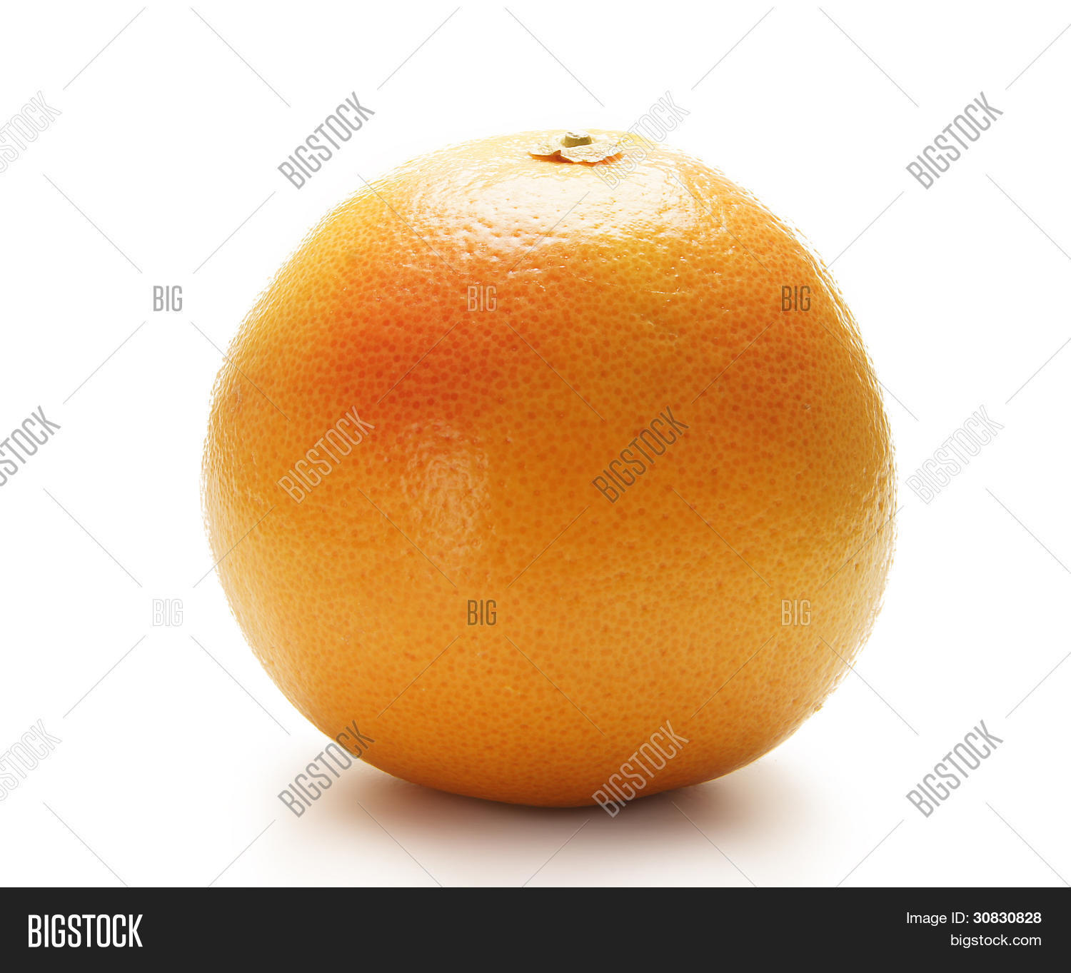 Orange Isolated On Image & Photo (Free Trial) | Bigstock