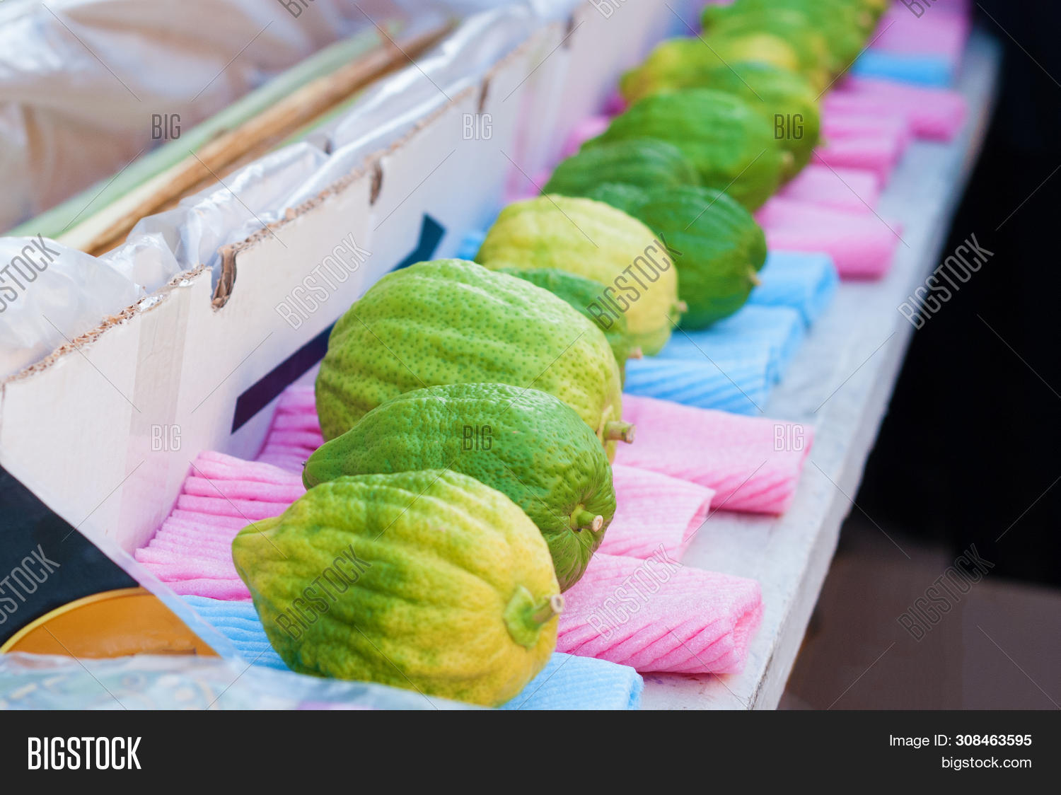Jewish Festival Sukkot Image & Photo (Free Trial) | Bigstock
