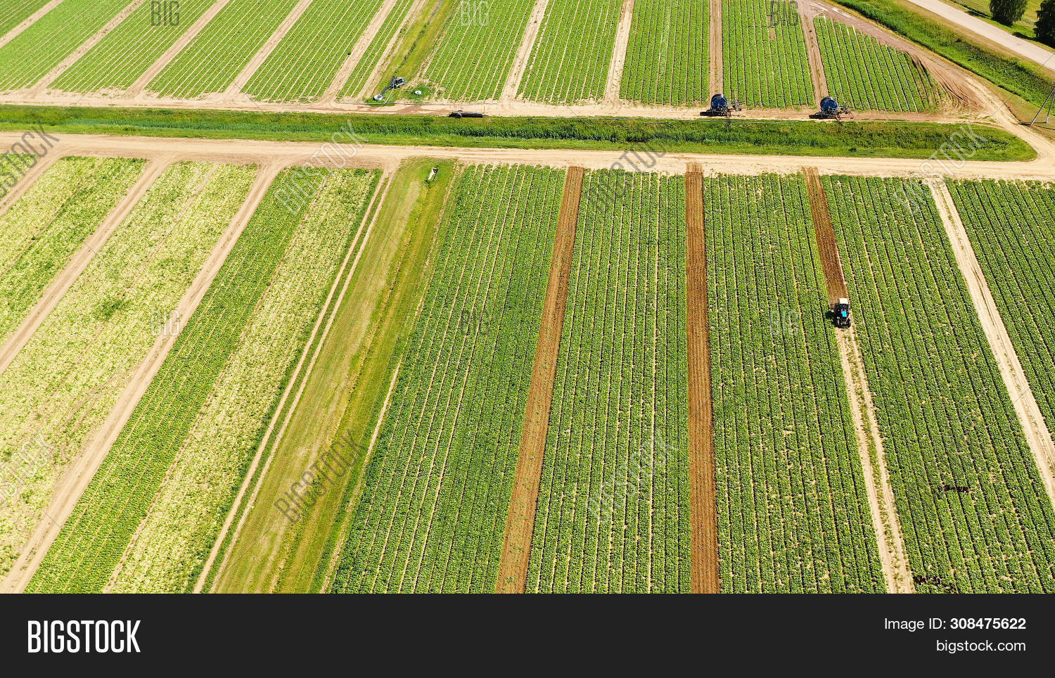 Farmlands Crops Image & Photo (Free Trial) | Bigstock