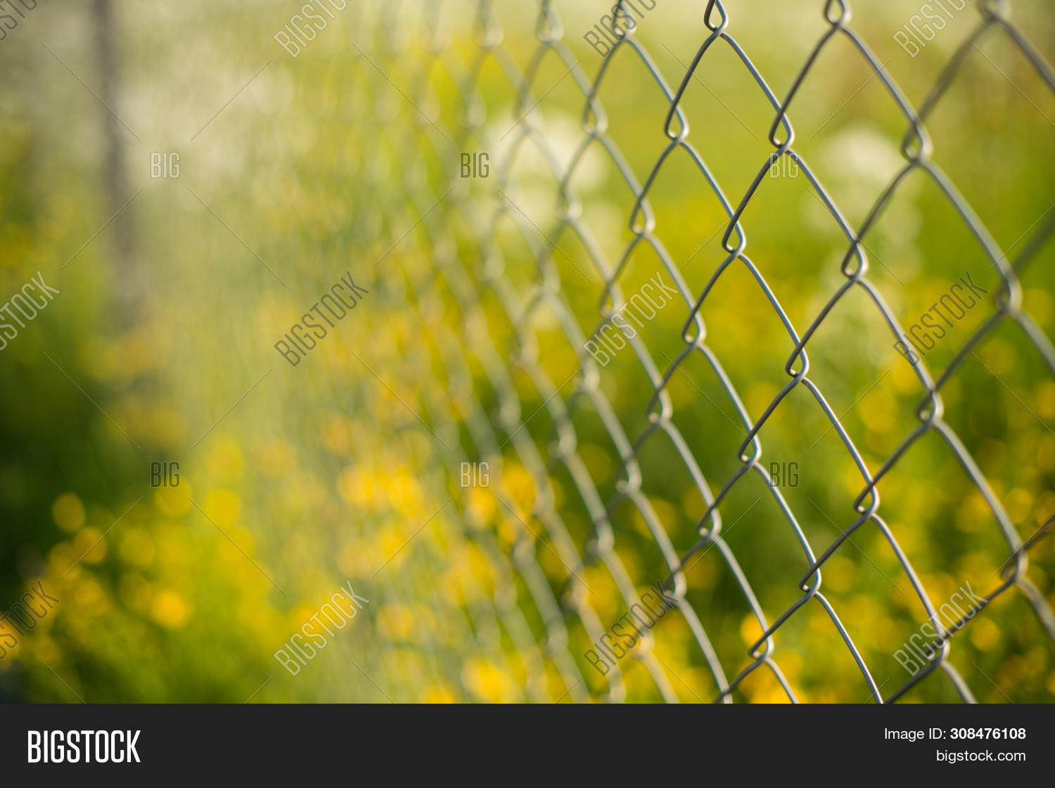 Metal Grid. Fence Mesh Image & Photo (Free Trial) | Bigstock