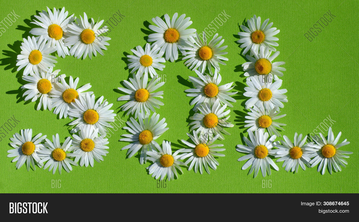 Imagen y foto Sol Text, Means Sun (prueba gratis) | Bigstock