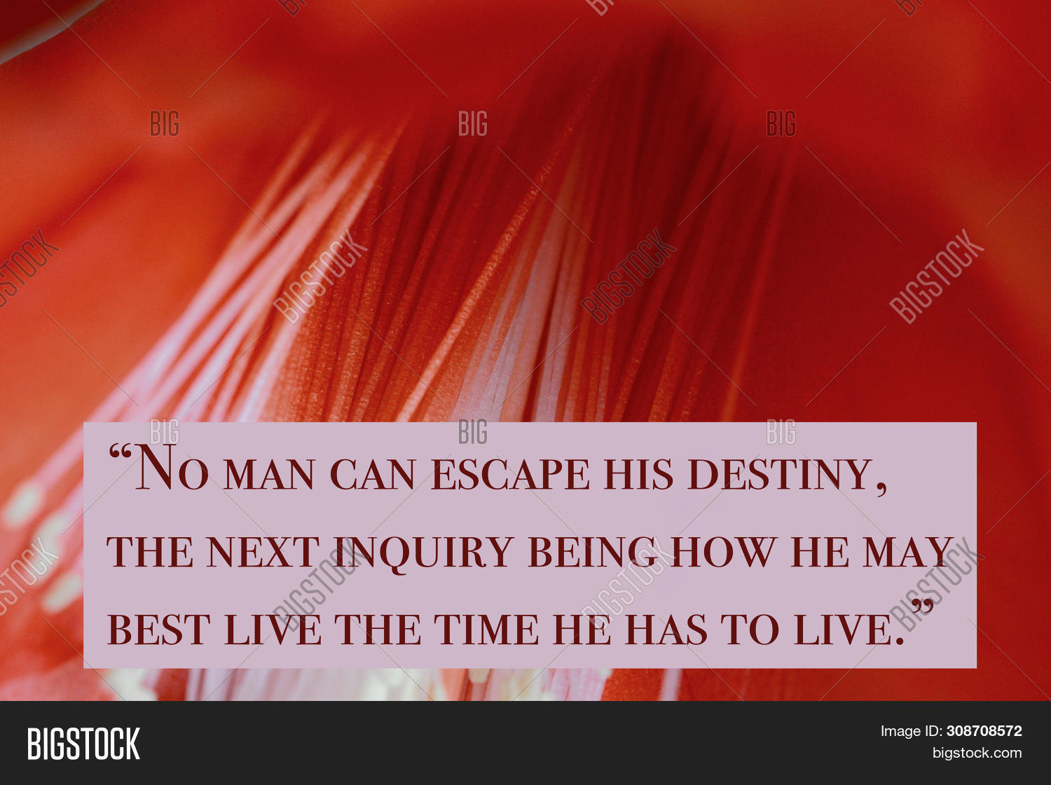 Wise Quote By Ancient Image & Photo (Free Trial) | Bigstock
