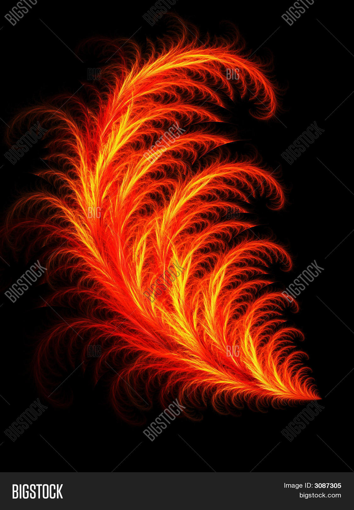 Fire Feather Image & Photo (Free Trial) | Bigstock