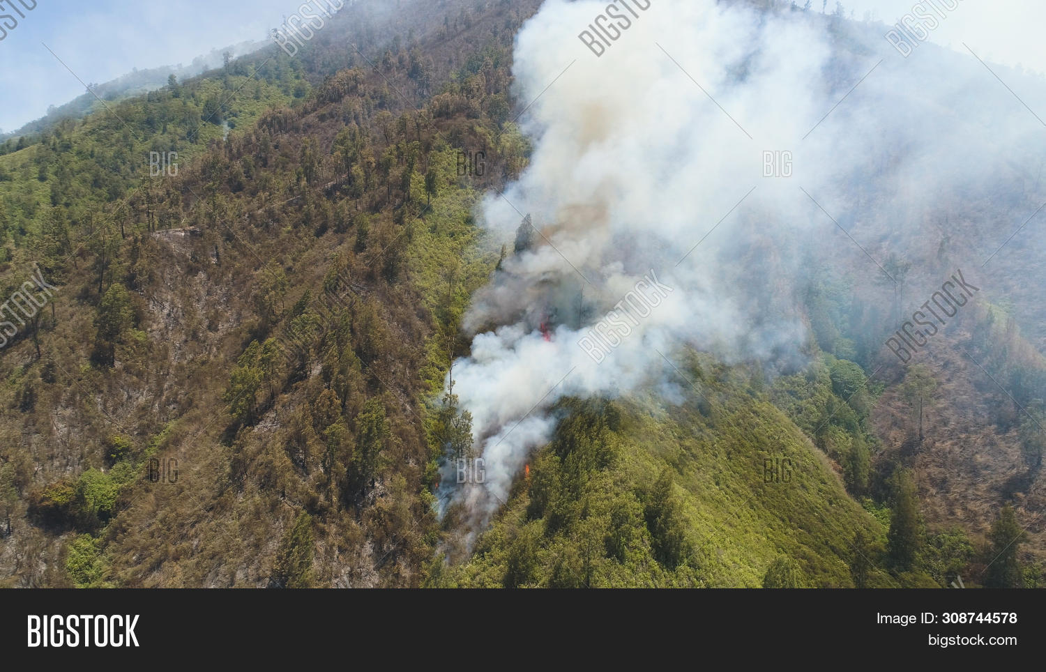 Aerial View Forest Image & Photo (Free Trial) | Bigstock