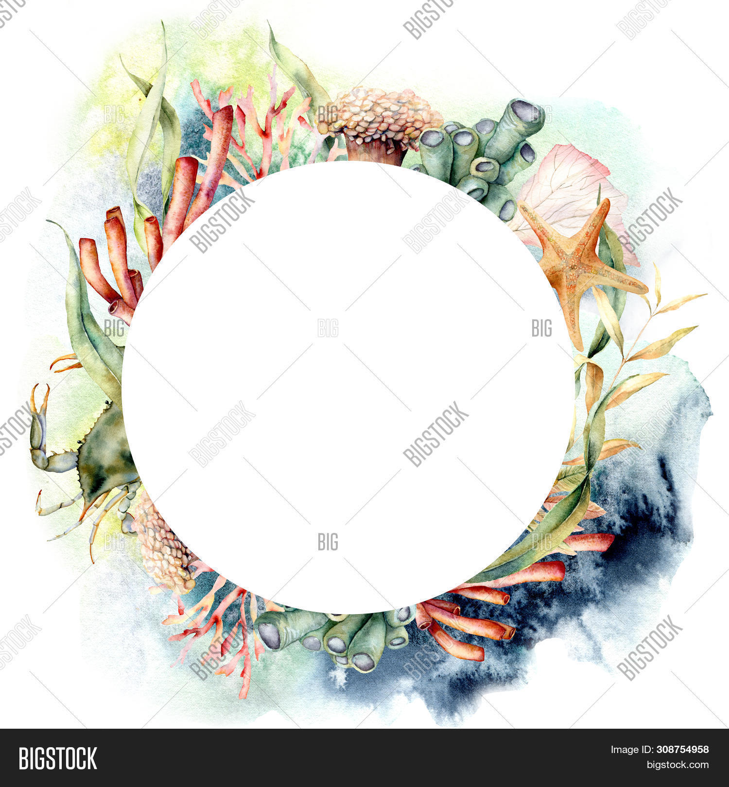 Watercolor Circle Image & Photo (Free Trial) | Bigstock