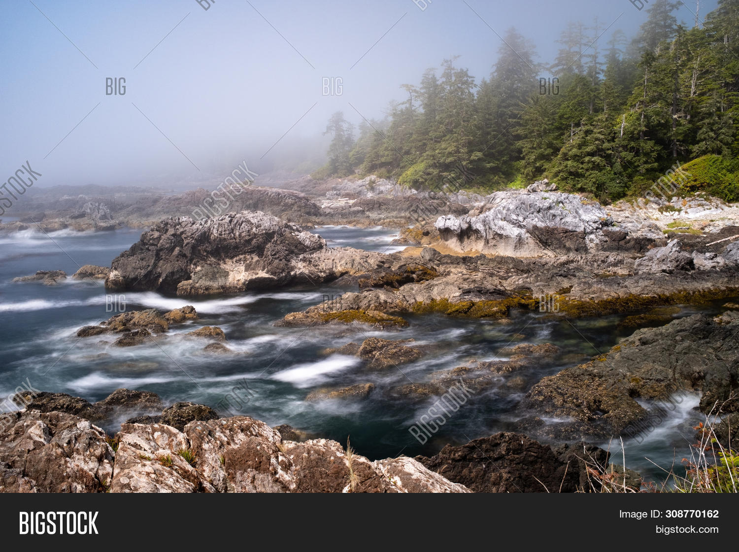 Wild Pacific Rim Trail Image & Photo (Free Trial) | Bigstock
