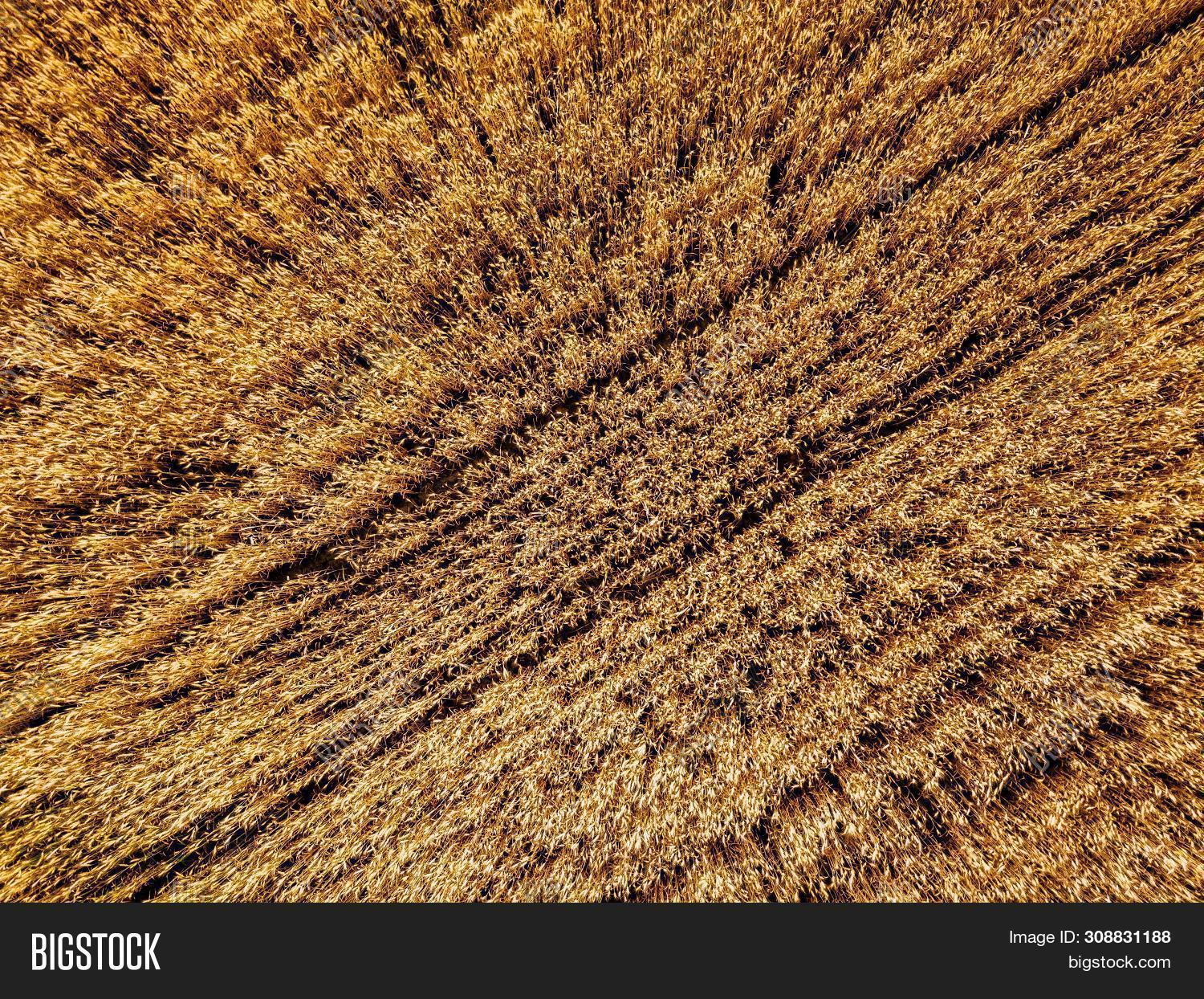 Aerial View Yellow Image & Photo (Free Trial) | Bigstock