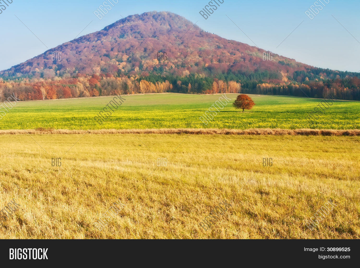 European Countryside Image & Photo (Free Trial) | Bigstock