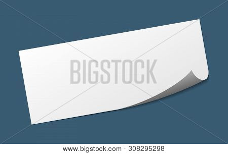 Blank Square Sticker Vector & Photo (Free Trial) | Bigstock
