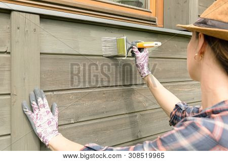 Woman Worker Painting Image & Photo (Free Trial) | Bigstock