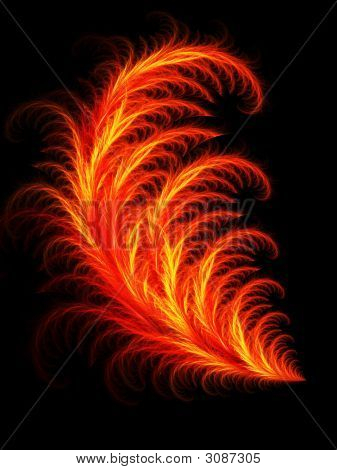 Fire Feather Image & Photo (Free Trial) | Bigstock