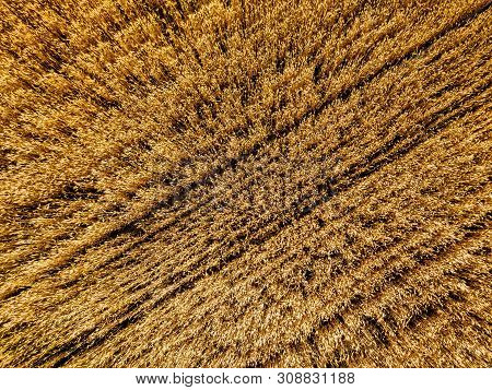 Aerial View Yellow Image & Photo (Free Trial) | Bigstock