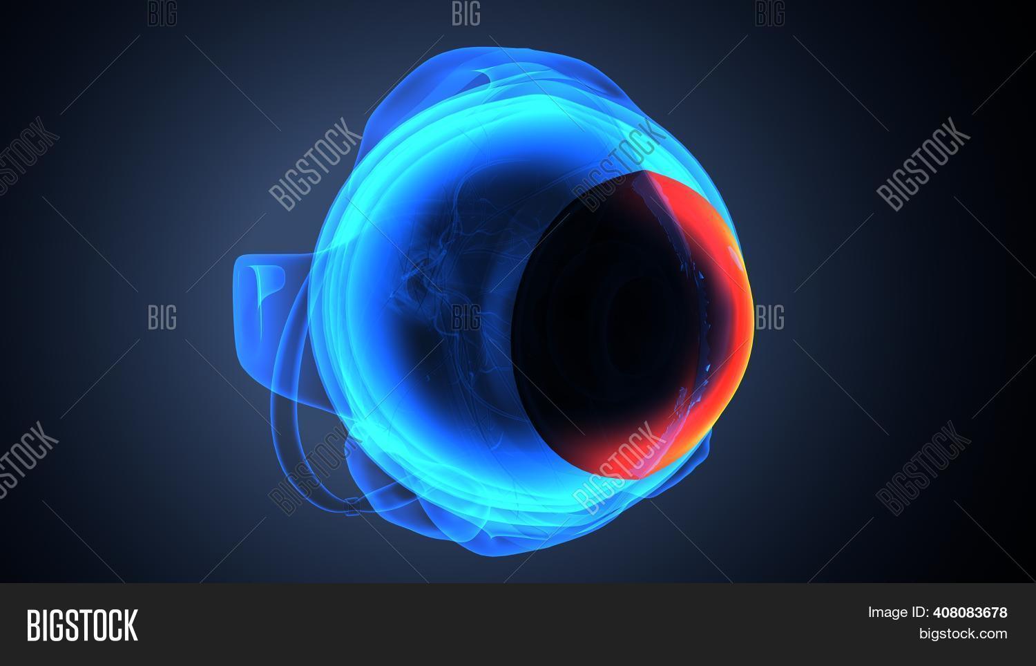 3d Render Male Human Image & Photo (Free Trial) | Bigstock