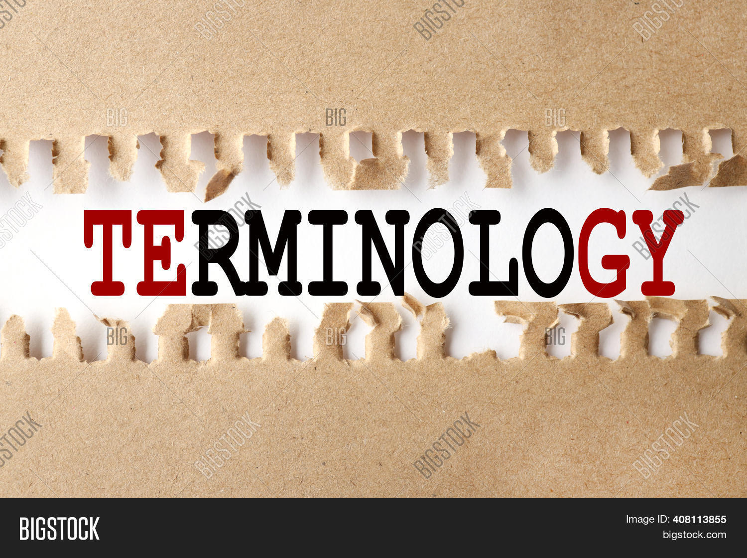 Terminology. Text On Image & Photo (Free Trial) | Bigstock