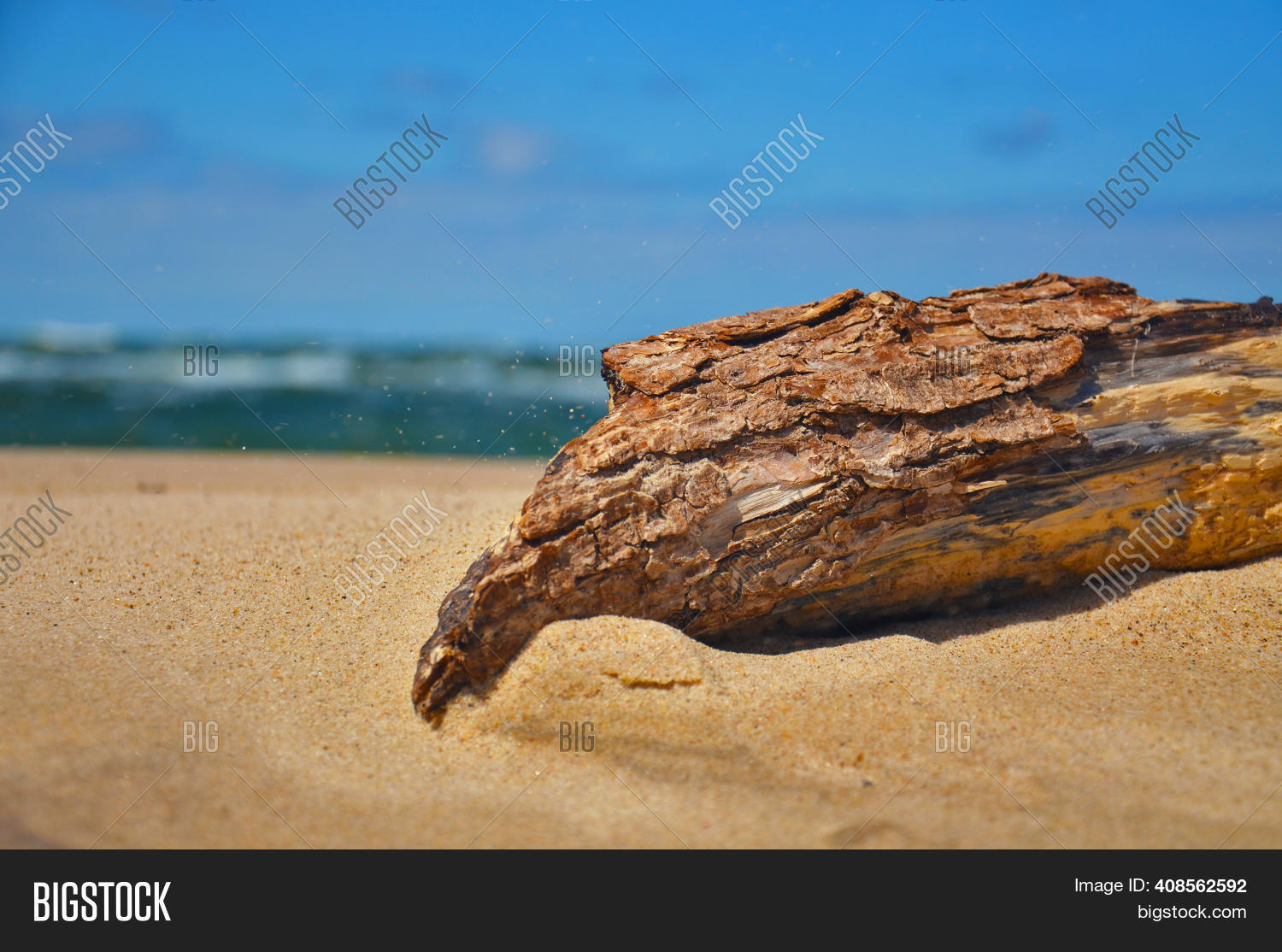 Wood On Beach Sea Image & Photo (Free Trial) | Bigstock