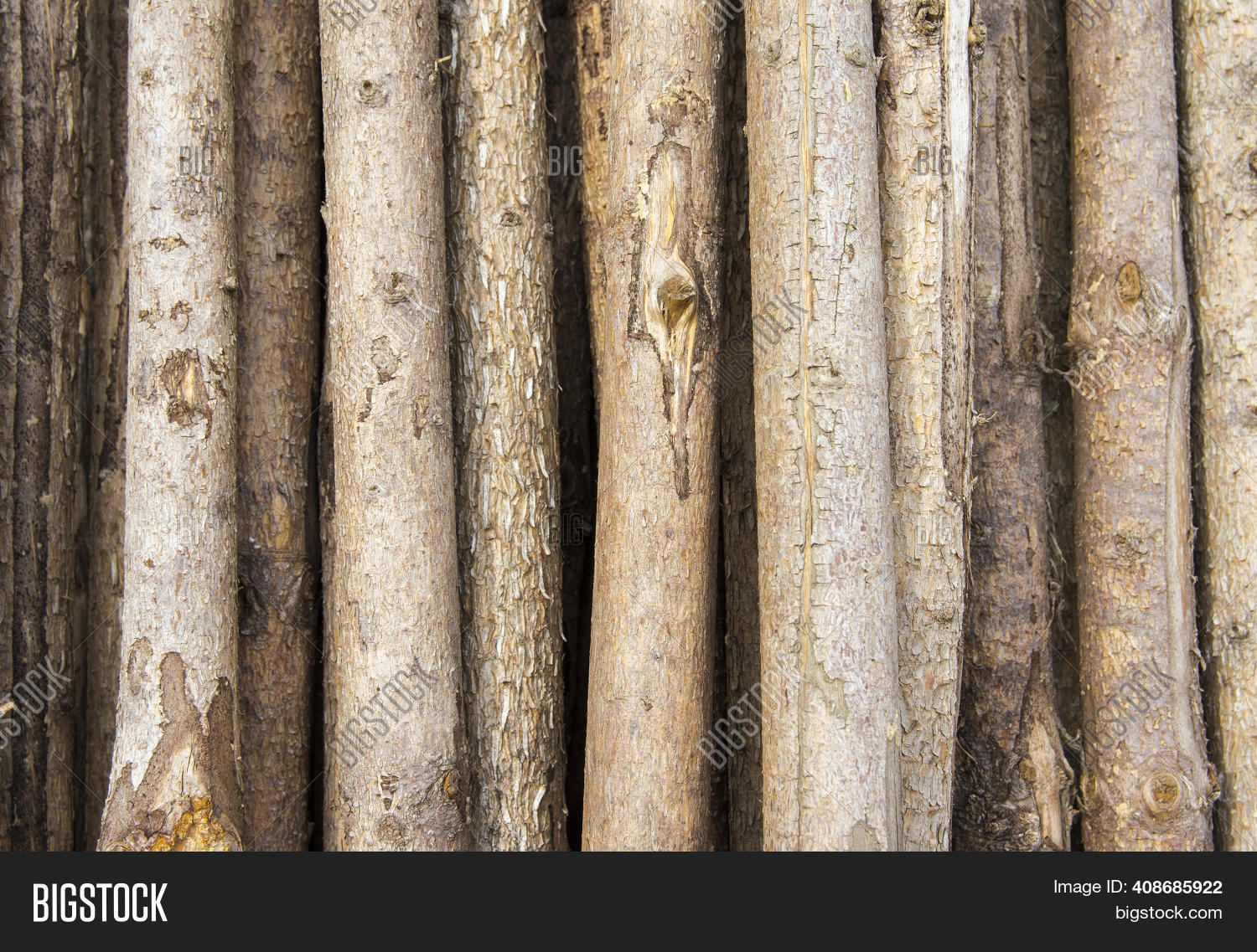 Texture Tree Logs Wood Image & Photo (Free Trial) | Bigstock
