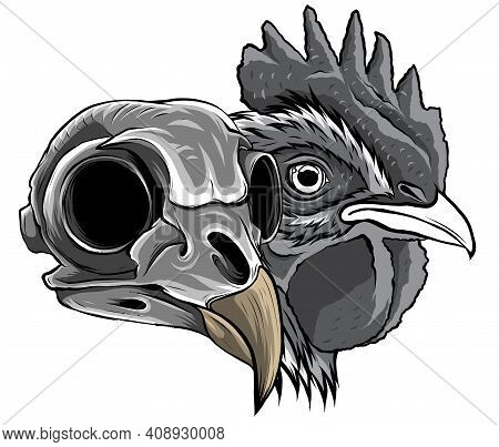 Monochromatic Sketch Vector & Photo (Free Trial) | Bigstock