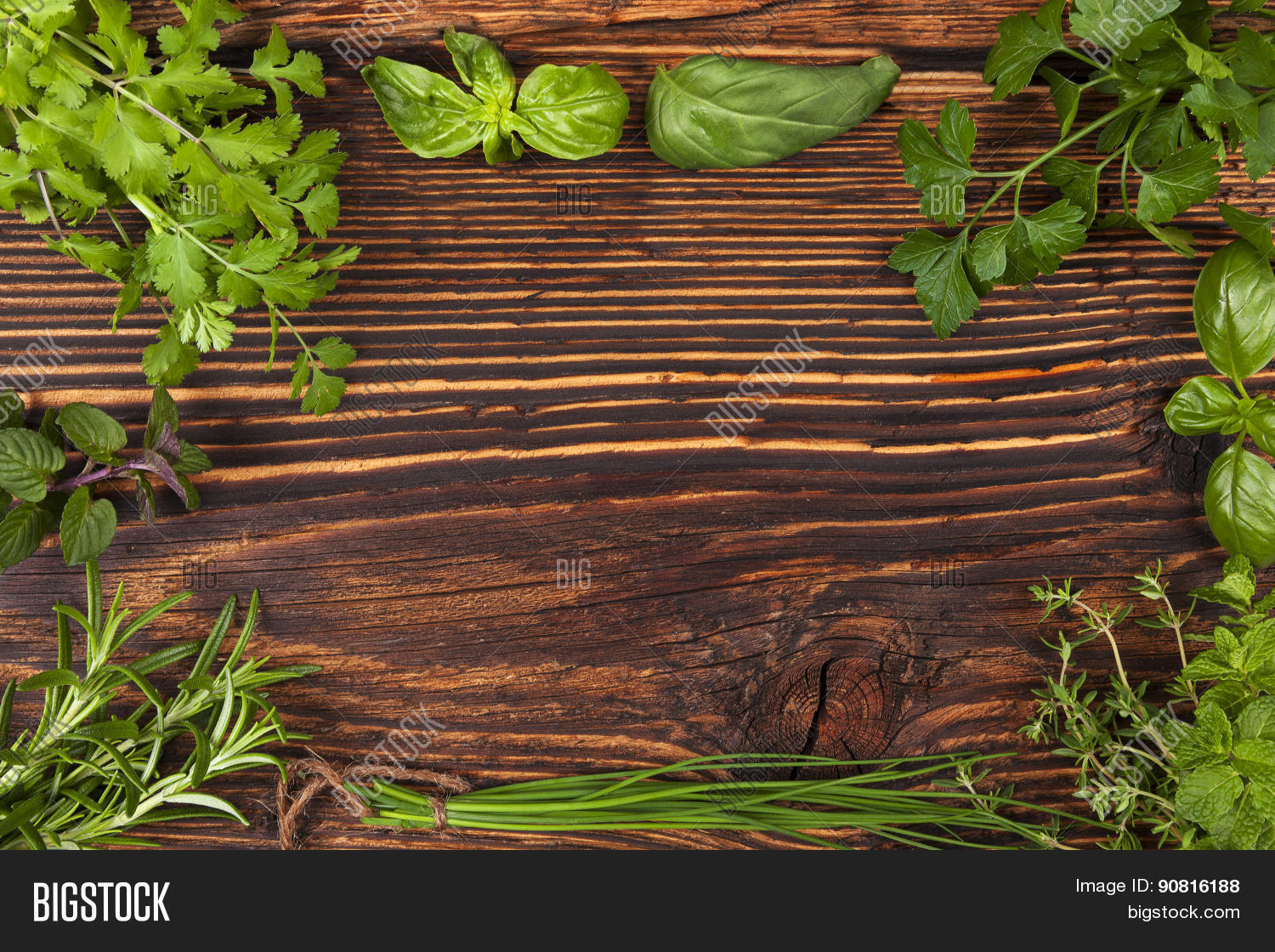 Culinary Herbs Image & Photo (Free Trial) | Bigstock