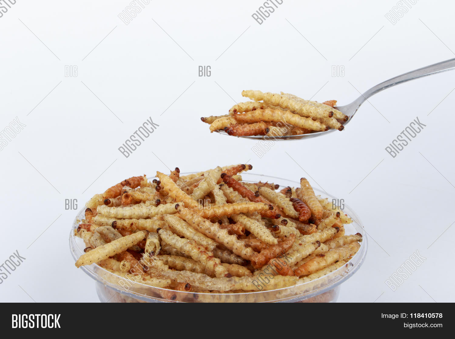 Thai Insects, Fried Image & Photo (Free Trial) | Bigstock