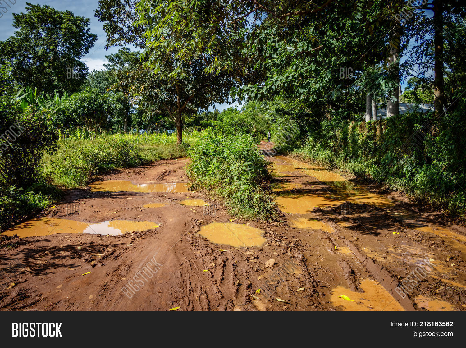 Extremely Bad Rural Image & Photo (Free Trial) | Bigstock