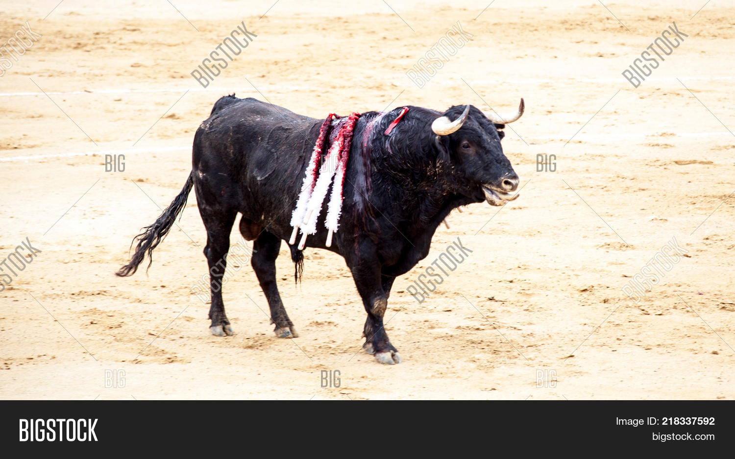 Wounded Bull, Peaks Image & Photo (Free Trial) | Bigstock