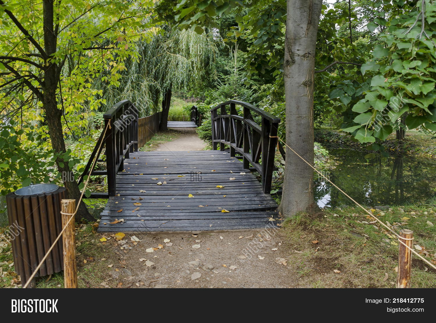 Forest, Path Bridge Image & Photo (Free Trial) | Bigstock