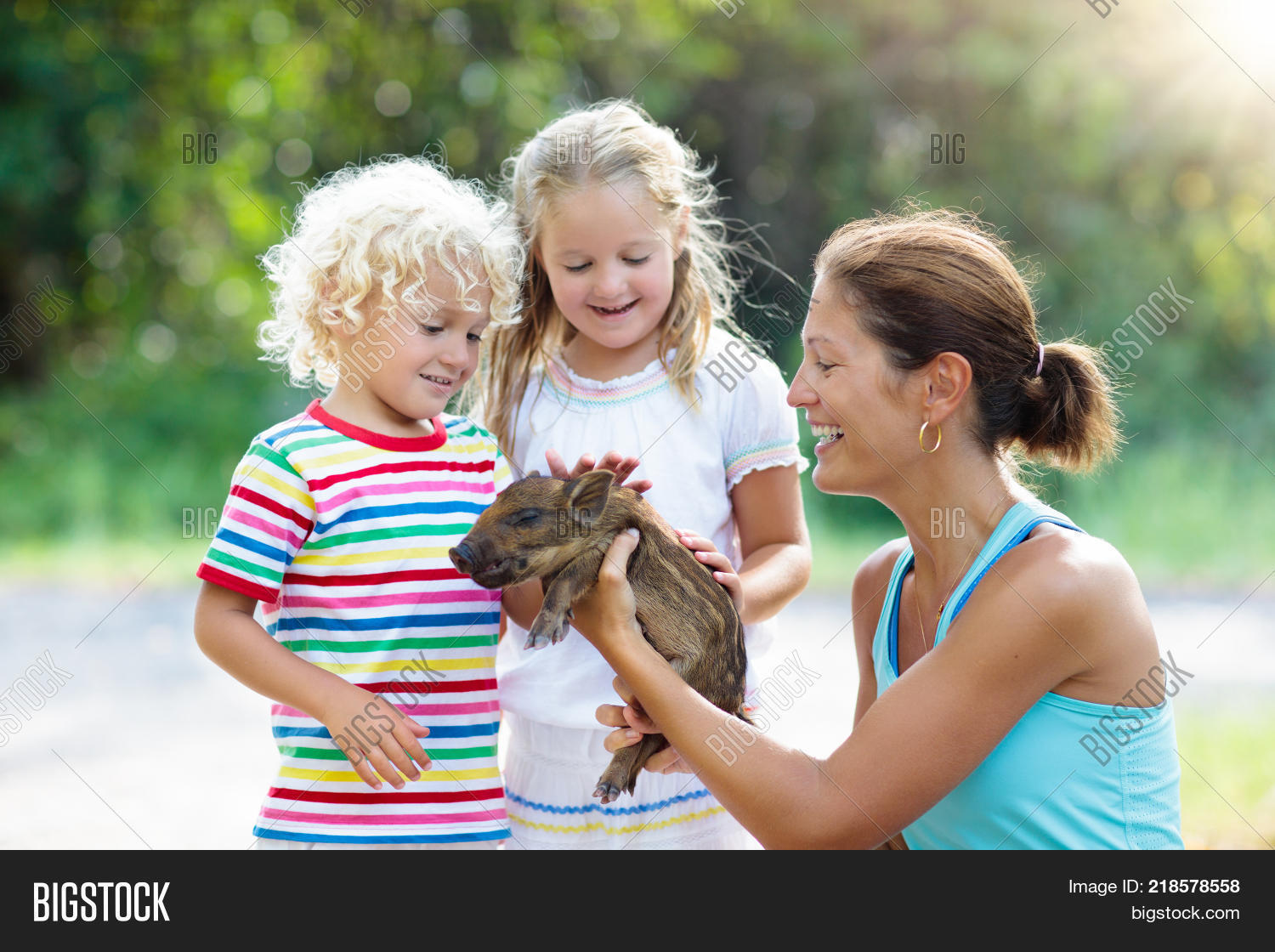 Kids Baby Pig Animal. Image & Photo (Free Trial) | Bigstock