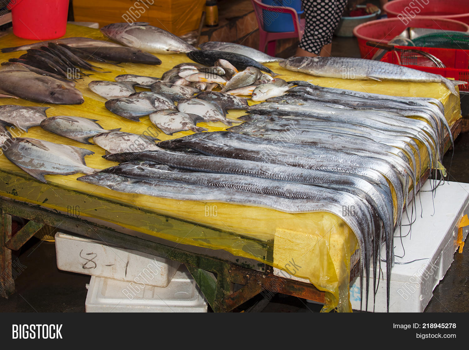 Fresh Eels Sale During Image & Photo (Free Trial) | Bigstock