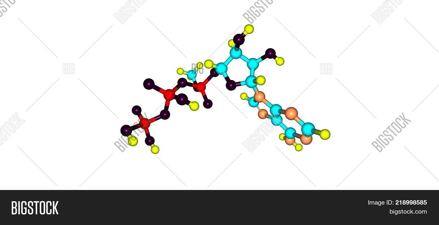 Adenosine Triphosphate Image & Photo (Free Trial) | Bigstock