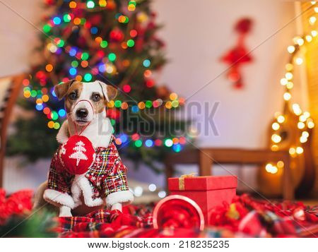 Dog Under Tree Images, Illustrations, Vectors - Dog Under Tree Stock ...