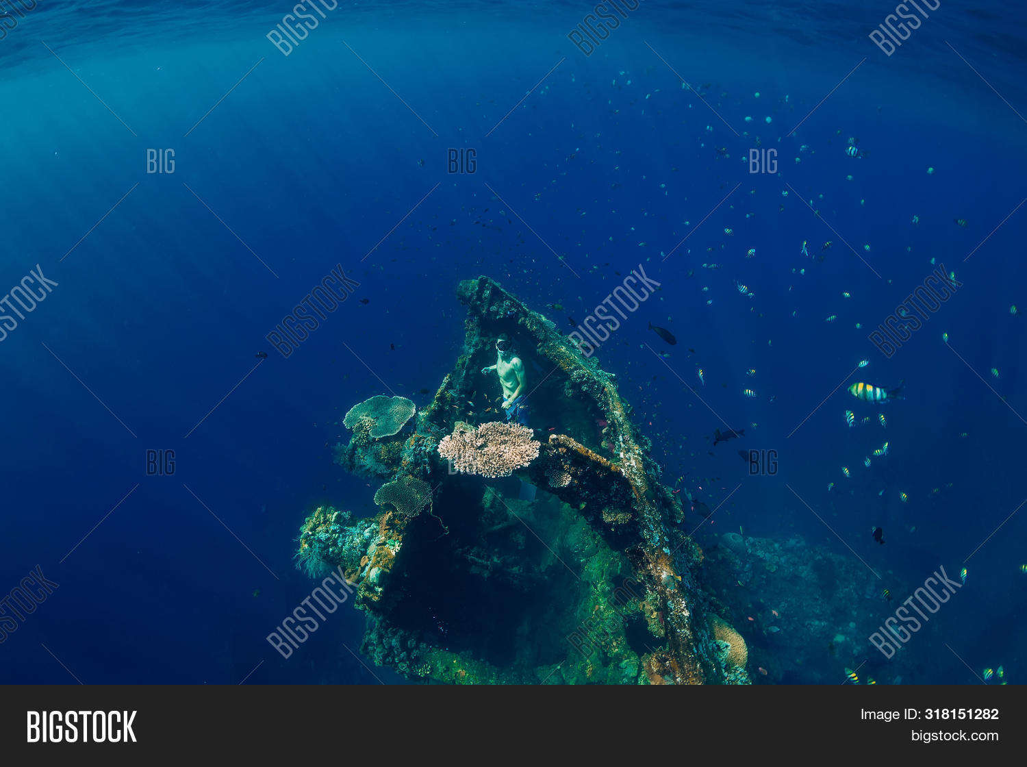 Freediver Man Dive Image & Photo (Free Trial) | Bigstock