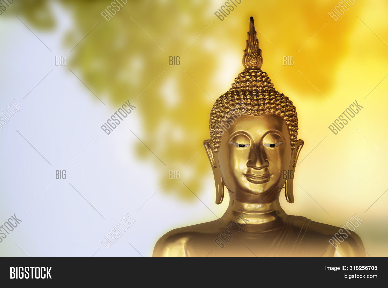 Closeup Head Buddha Image & Photo (Free Trial) | Bigstock