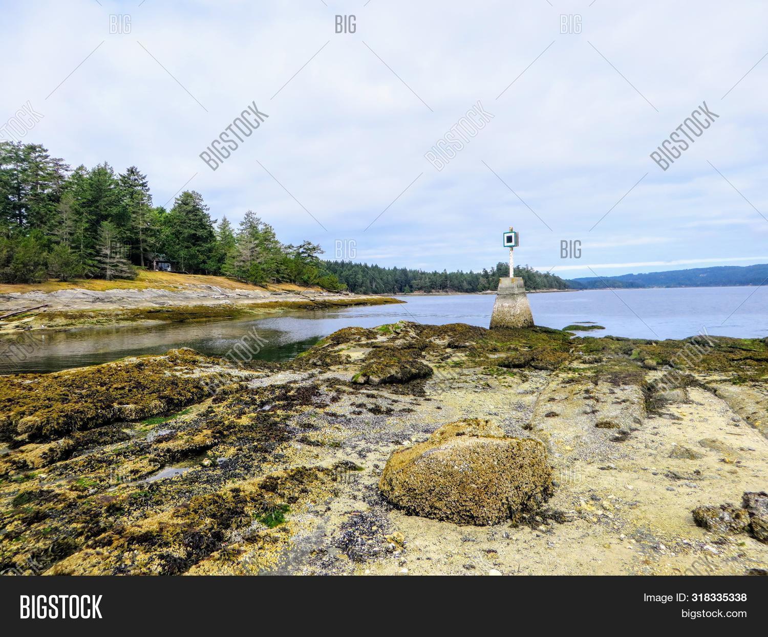View Port Hand Day Image & Photo (Free Trial) | Bigstock