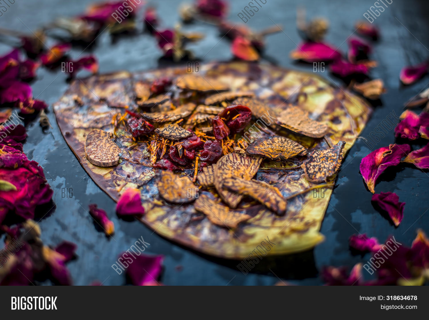 Close Famous Indian Image & Photo (Free Trial) | Bigstock