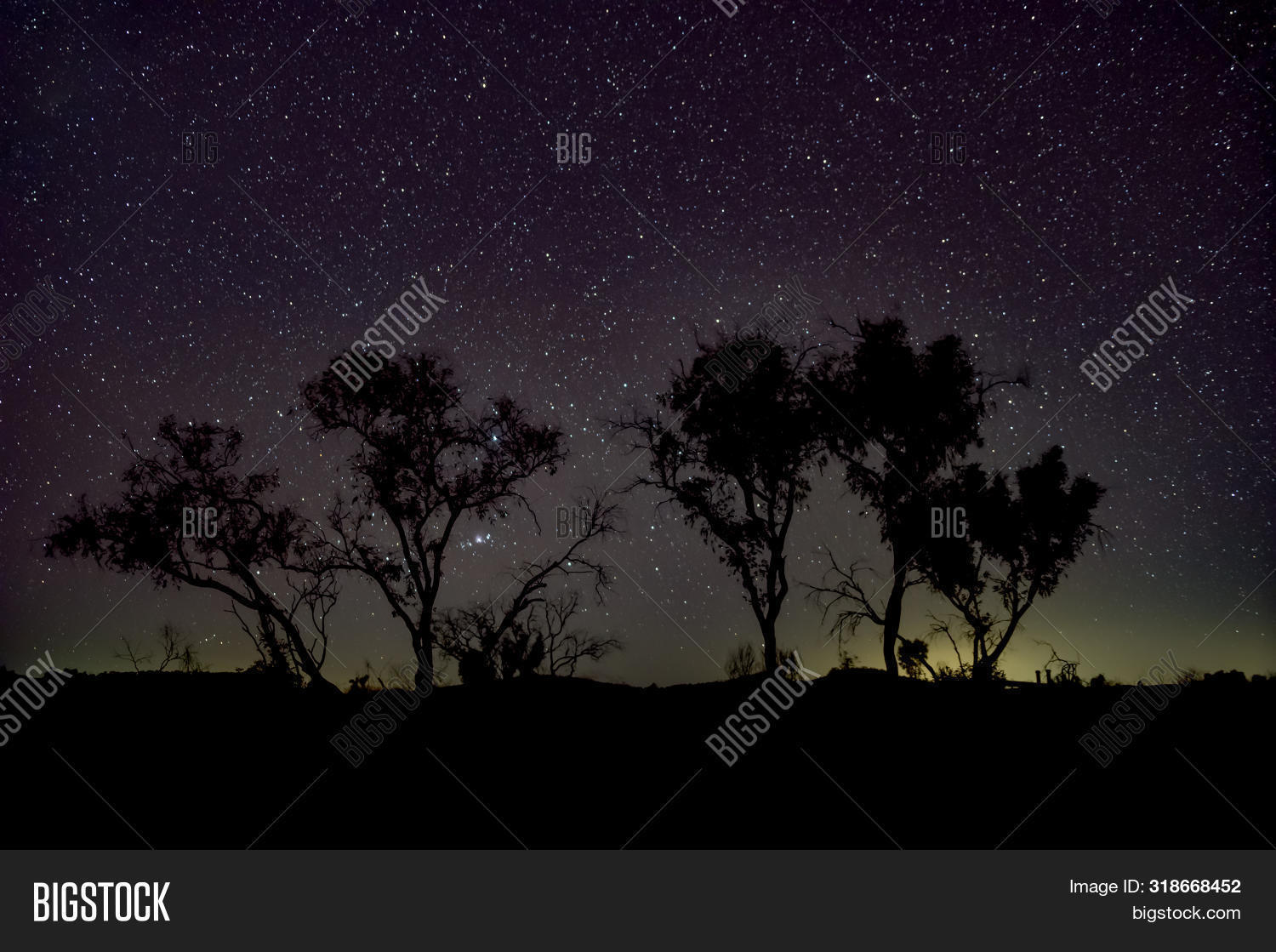 Australian Outback At Night