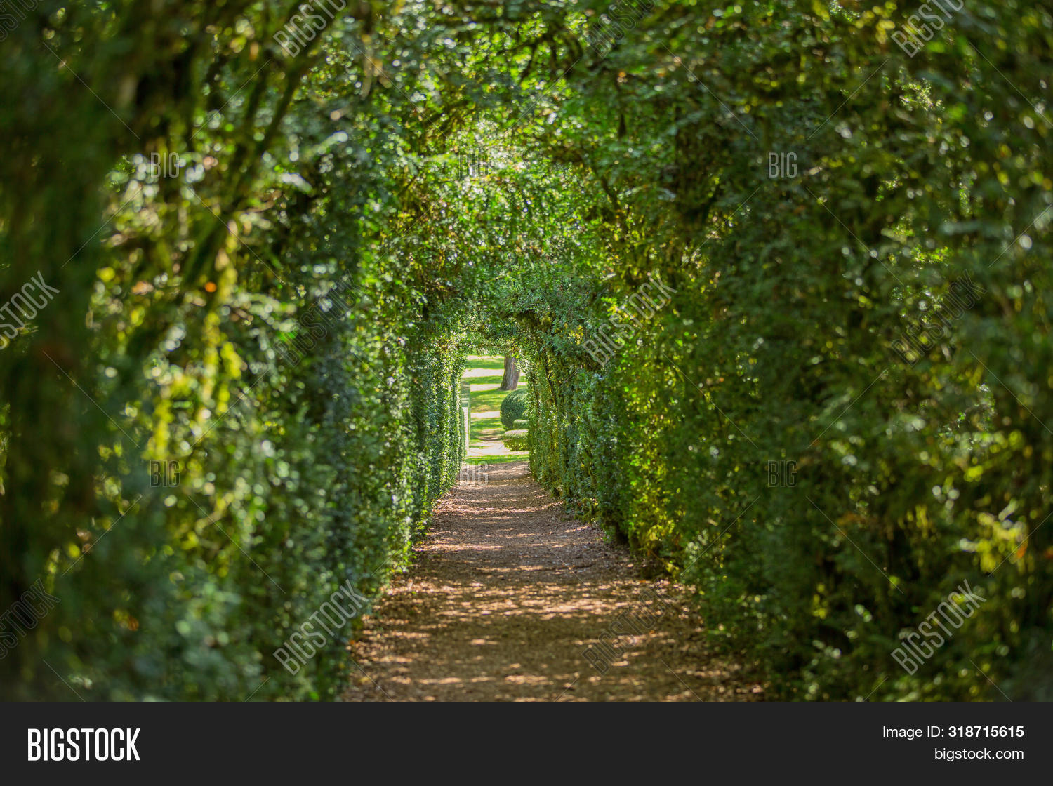 Plant Tunnel Gardens Image & Photo (Free Trial) | Bigstock