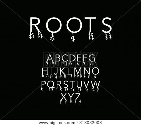 Roots Hand Drawn Vector & Photo (Free Trial) | Bigstock