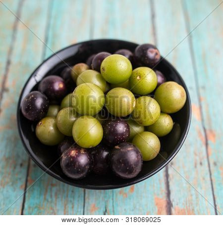 Muscadine Images, Illustrations & Vectors (Free) - Bigstock
