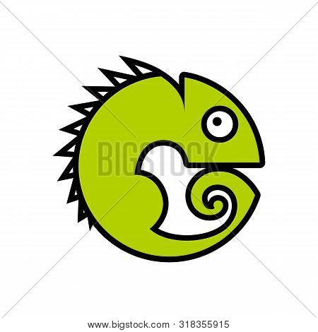 Chameleon. Animal Vector & Photo (Free Trial) | Bigstock