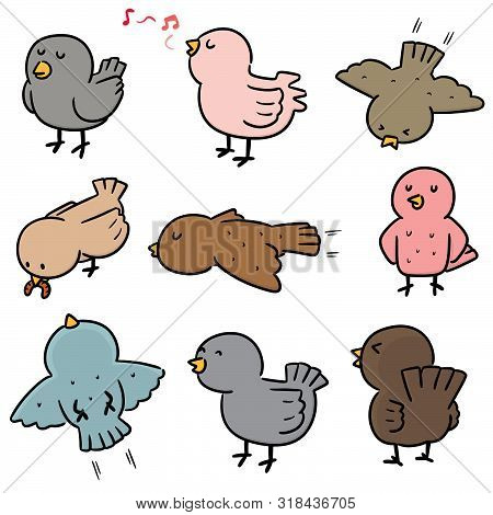 Vector Set Bird Hand Vector & Photo (Free Trial) | Bigstock