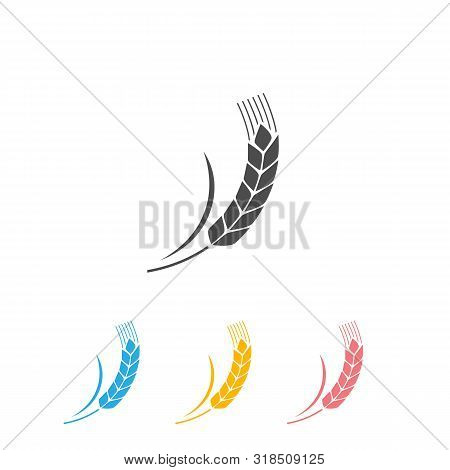 Wheat Spike Set Vector & Photo (Free Trial) | Bigstock
