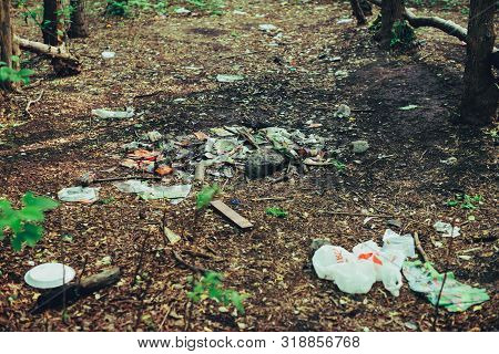 Imagen y foto Garbage Pile Forest (prueba gratis) | Bigstock
