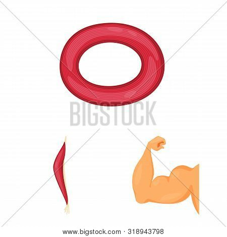 Vector Illustration Vector & Photo (Free Trial) | Bigstock