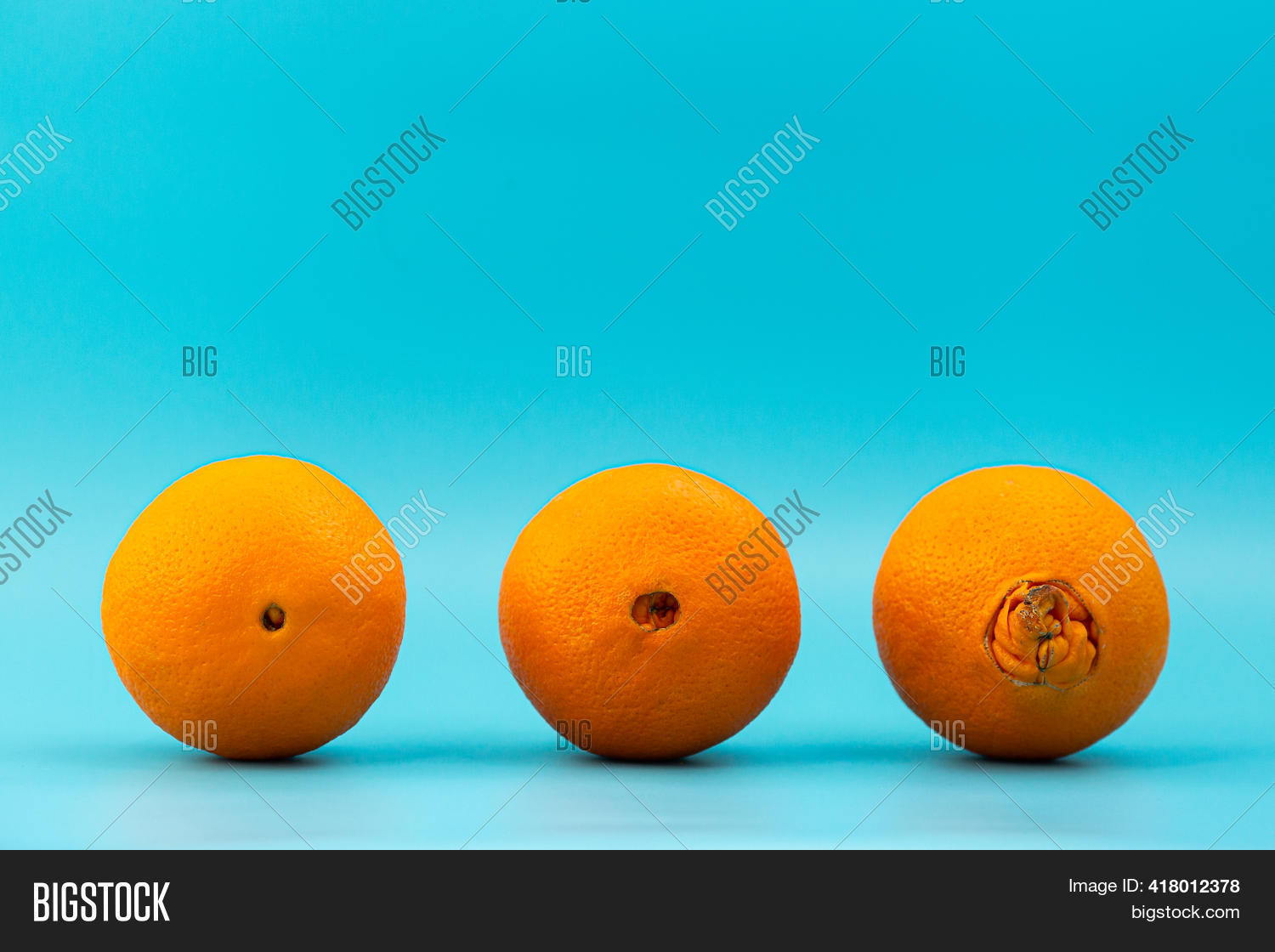 Ugly Normal Oranges On Image & Photo (Free Trial) | Bigstock