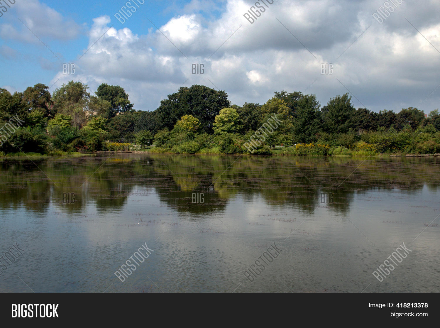 Lake Pond Lagoon Row Image & Photo (Free Trial) | Bigstock