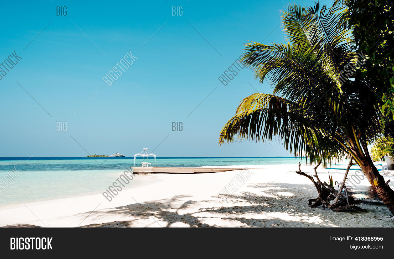 Tropical Beach. Leaves Image & Photo (Free Trial) | Bigstock